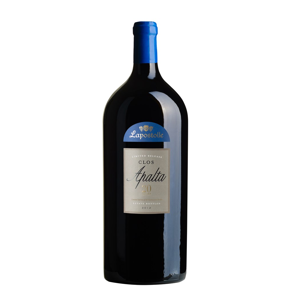 Double Magnum Clos Apalta - Chile 2010