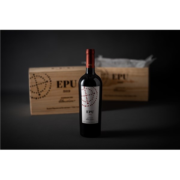 Epu - Puento Alto 2021